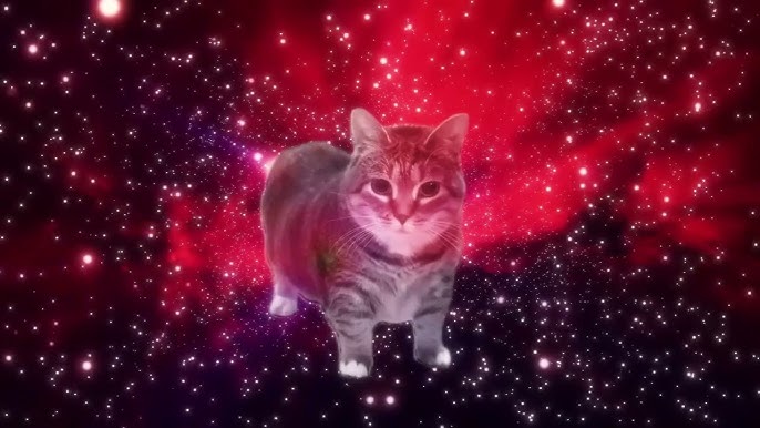 OIIA cat rhythm game